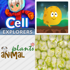 Worksheet: Homeostasis and the Cell Membrane 7.LS1.2 - Free Educational ...