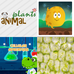 Student Lesson: Plants and Animal Cells - Free Games and Assessments ...