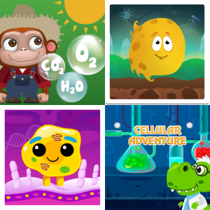 Teaching Plan: Plant vs. Animal Cells SC.6.L.14.4 - Free Educational ...