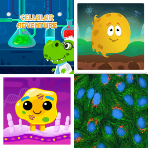 Free Educational Games: Functions of Cells 6.LS.3 - Free Games and ...