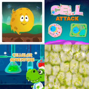 For Class: Parts of the Cell - Plants vs. Animals - Free Games and ...