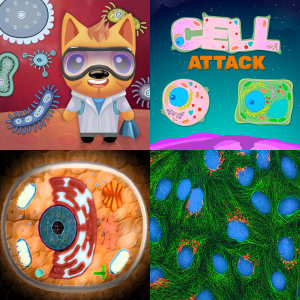 Worksheet: Cells and Life LS.2c Assignment - Free Educational Games ...