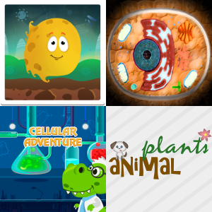 Free Homework Prep: Plant vs. Animal Cells SC.6.L.14.4 - Free Games and ...