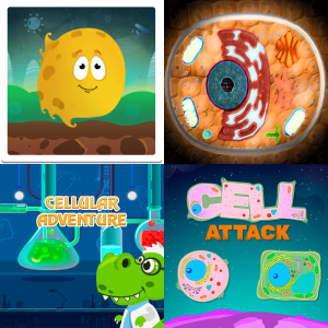 Student Lesson: Structures and Functions of Plant and Animal Cells 7.L ...