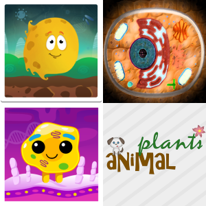 Student Lesson: Plant and Animal Cells LS.2c - Free Educational Games ...