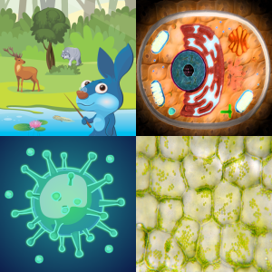 Game Based Learning: Plant vs. Animal Cells SC.6.L.14.4 - Free ...