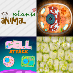 For Class: Plant and Animal Cells LS.2c - Free Educational Games ...