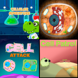 For Class: Prokaryotic and Eukaryotic Cell - Free Educational Games ...