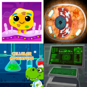 Worksheet: Parts of the Cell - Plants vs. Animals MS-LS1.A-2b - Free ...