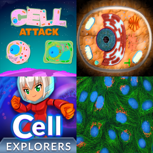 For Class: Parts of the Cell 7.12D - Free Educational Games - Legends ...