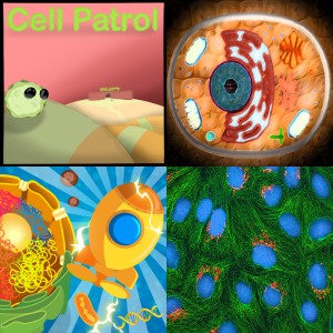 Teaching Plan: Parts of the Cell MS-LS1.A-2a - Free Games and ...