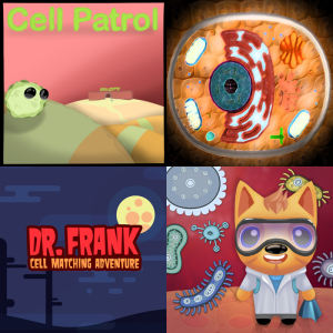 For Class: Levels of Organization: Cells to Organisms S7L2.b - Free ...