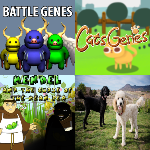 For Class: Sexual Reproduction and Genetic Variation MS-LS3.B-1 - Free ...
