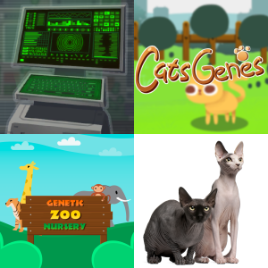 Free Educational Games: Predicting Genotype and Phenotype Combinations ...