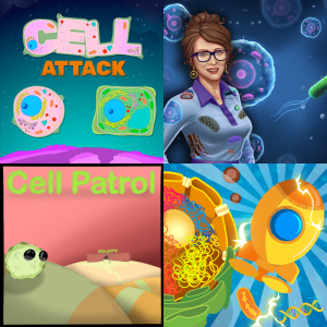 Free Homework Prep: Cell Organelles, Pro vs Euk Review - Free Games and ...