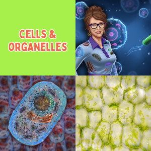Student Lesson: Cells & Organelles - Free Games and Videos - Legends of ...