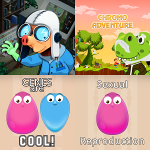 For Class: Sexual Reproduction and Genetic Variation 7.14B - Free Games ...