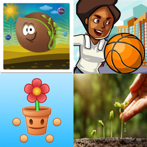 Free Educational Games: Plant Growth ES-LS1.C-2 - Free Educational ...