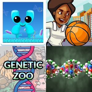 Free Homework Prep: 8th Grade - Genetics Practice - Free Educational ...