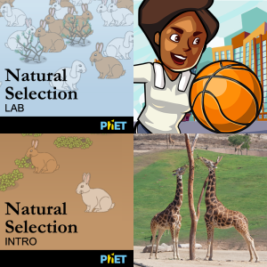 Game Based Learning: Natural Selection and Selective Breeding 7.11C ...