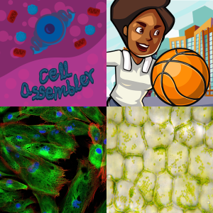 Student Lesson: Parts of the Cell - Plants vs. Animals MS-LS1.A-2b ...