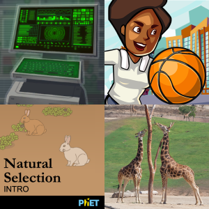 Free Lesson: Natural Selection and Selective Breeding 7.11C - Free ...