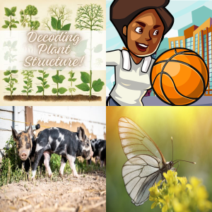 Teaching Plan: Structures of Plants vs Animals SC.5.L.14.2 - Free Games ...