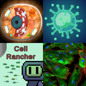 Free Lesson: Cells and Life 6.12A - Free Educational Games - Legends of ...