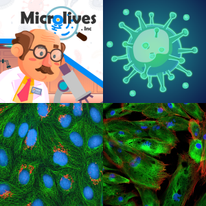 Worksheet: Cells and Life MS-LS1.A-1 - Free Games and Assessments ...