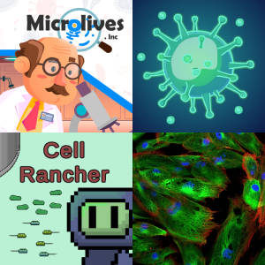 Free Lesson: Cell Theory SC.6.L.14.2 - Free Games and Assessments ...