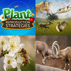 Free Lesson: Plant Reproduction Strategies MS-LS1.B-2 - Free Games and ...