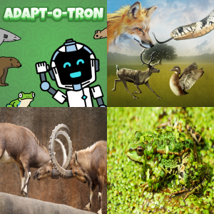 Game Based Learning: Animal Reproduction Strategies MS-LS1.B-1 - Free ...