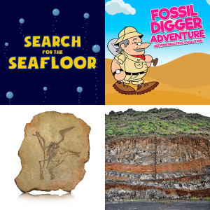 Practice: Fossils - Free Educational Games - Legends of Learning