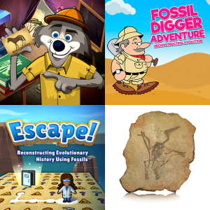 Teaching Plan: Reconstructing Evolutionary History Using Fossils MS-LS4 ...