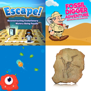 Free Lesson: Reconstructing Evolutionary History Using Fossils MS-LS4.A ...