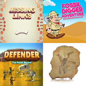 Teaching Plan: Fossil Evidence and Evolution SC.7.L.15.1 Assignment ...