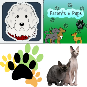 Game Based Learning: Artificial Selection via Selective Breeding S7L3.c ...