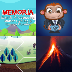 Free Educational Games: Nitrogen Cycle - Free Games and Assessments ...