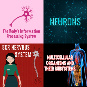 Practice: The Body's Information Processing System MS-LS1.D-1 - Free ...
