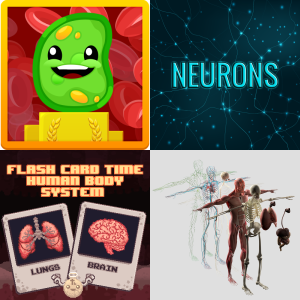 Free Educational Games: Human Body Systems 7.12B - Free Educational ...