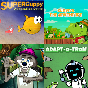 Student Lesson: Biological Adaptations and Extinction 8.E.6B - Free ...