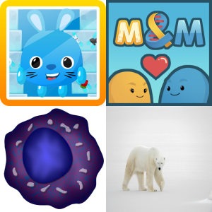 For Class: Variation of Traits due to Environmental Factors ES-LS3.B-2 ...