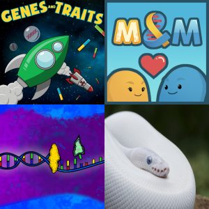 Lesson: Genetic Mutations 7.4.3 - Free Educational Games - Legends of ...