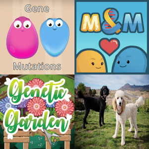 Lesson: Genes and Chromosomes 7.L.4A - Free Educational Games - Legends ...