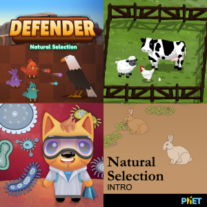 Teaching Plan: Natural Selection Assignment #2 - Due November 19 - Free ...