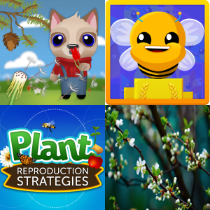 For Class: Structures and Functions of Plants 6.L.1.1 - Free ...