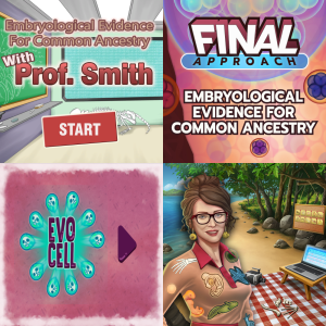 Worksheet: Embryological Evidence for Common Ancestry MS-LS4.A-3 - Free ...