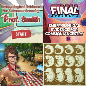 Free Homework Prep: Embryological Evidence for Common Ancestry MS-LS4.A ...