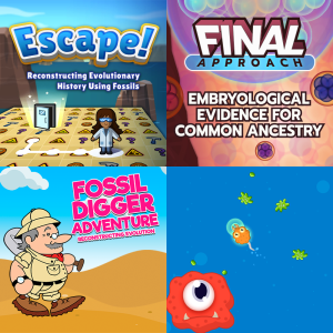 For Class: Embryological Evidence for Common Ancestry 8.LS4.3-1 - Free ...