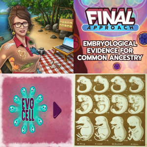 Worksheet: Embryological Evidence for Common Ancestry MS.LS4A.c - Free ...